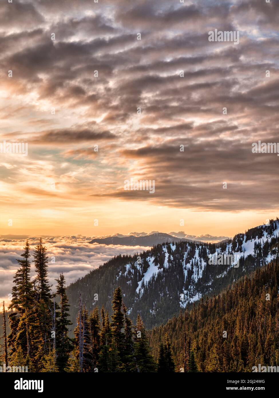 USA, Washington, Olympic National Park, View looking northeast from ...