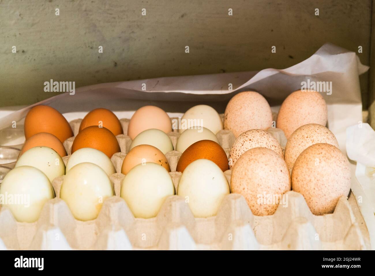 Snake river basin hi-res stock photography and images - Alamy