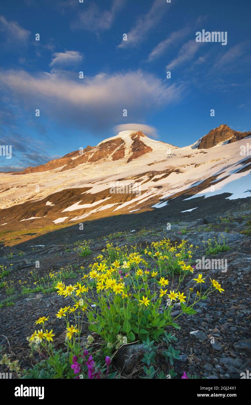 USA, Washington State. Mount Baker (elevation 10,778 feet, 3,285 m ...