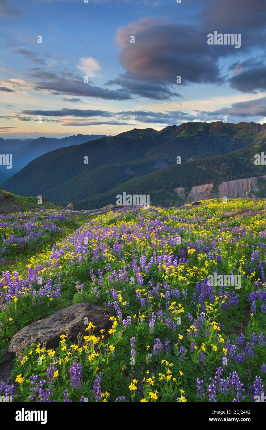 Mount coleman hi-res stock photography and images - Alamy