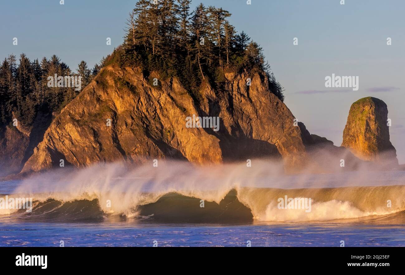 Sea stacks and waves at first light on Rialto Beach in Olympic National ...