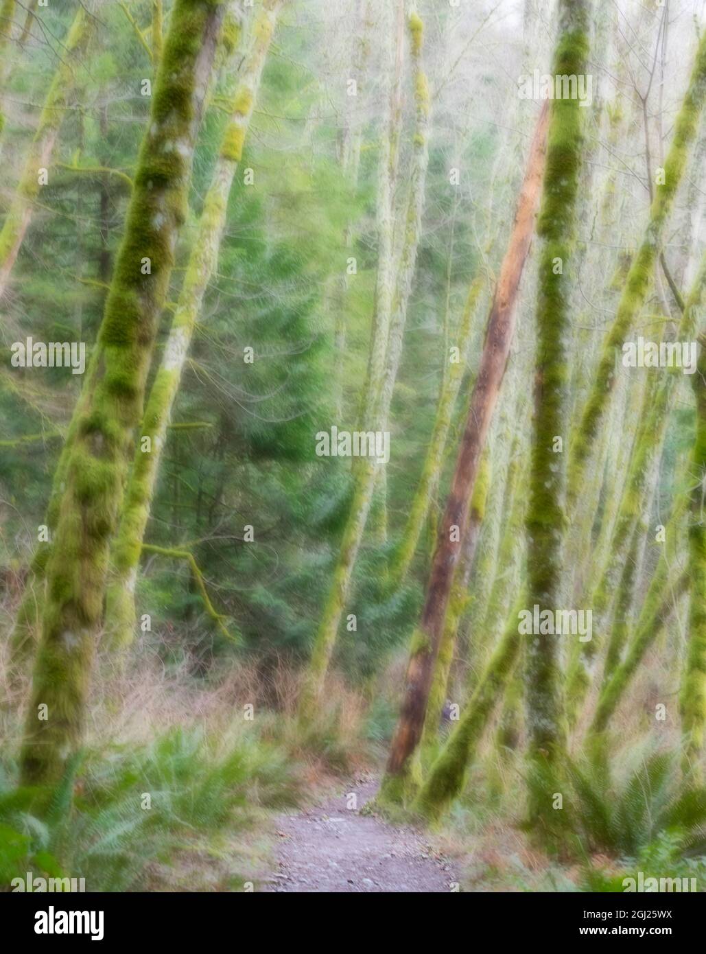Alder trail hi-res stock photography and images - Alamy