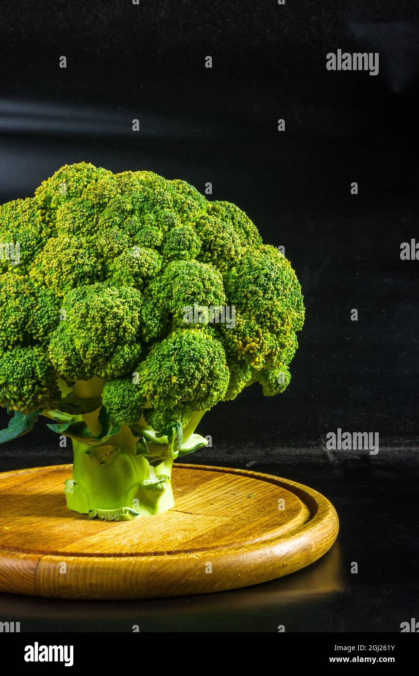 Fantasy mini landscape - tree made with broccoli on a black background ...