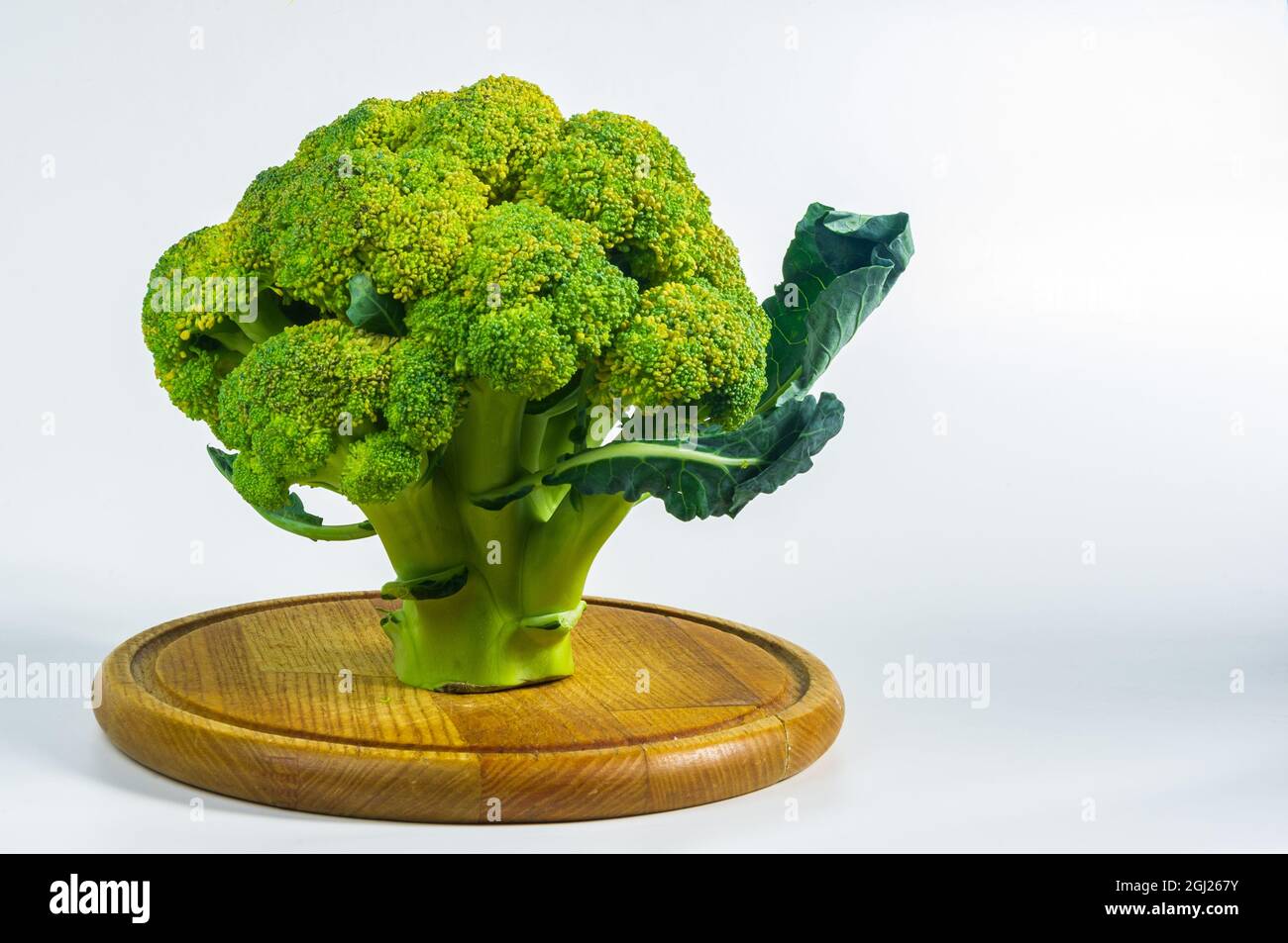 Fantasy mini landscape - tree made with broccoli on a white background ...