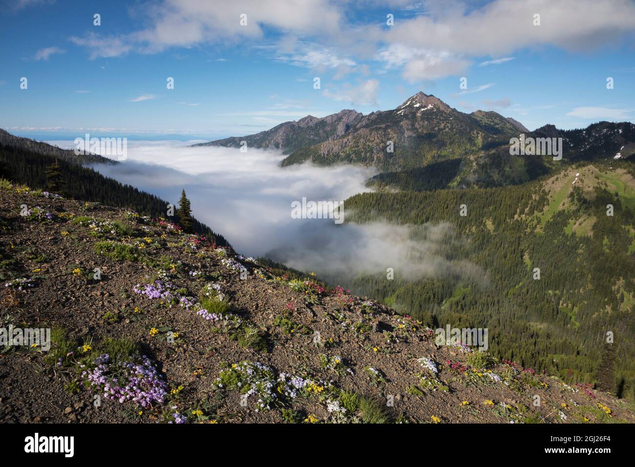Mount Angeles, Olympic National Park Stock Photo - Alamy