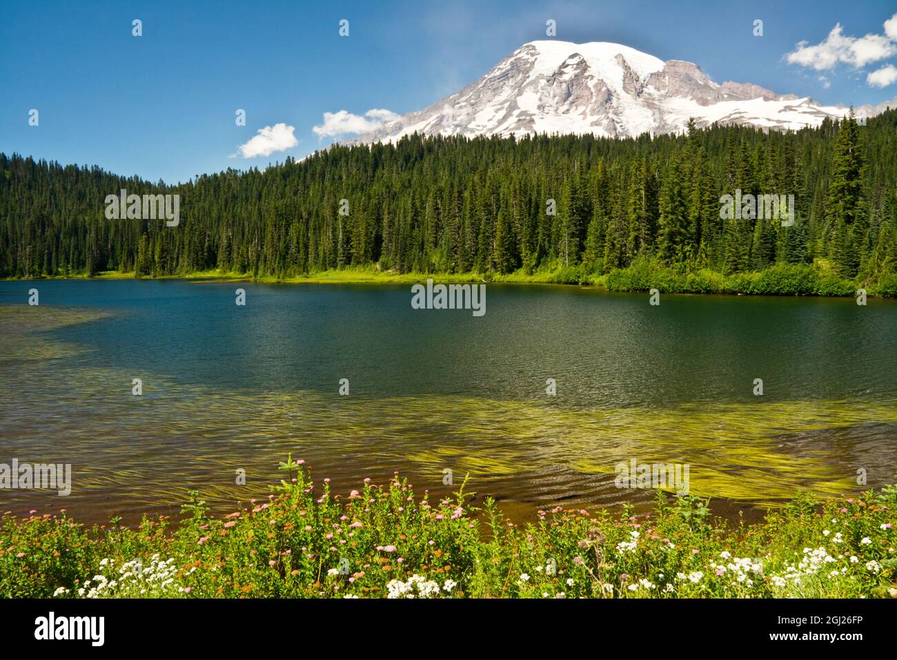 Mount Rainier, Reflection Lakes, Mount Rainier National Park ...