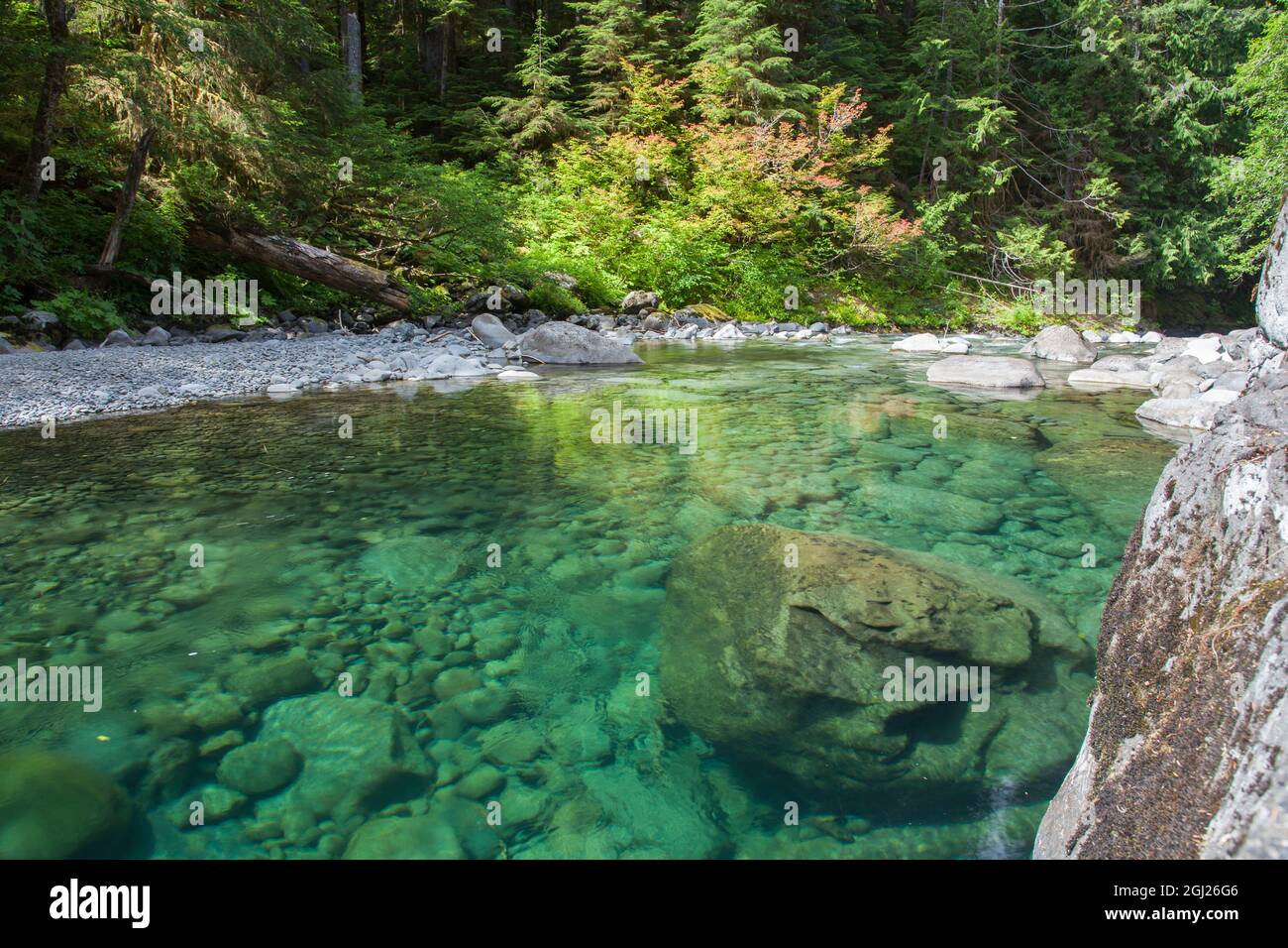 River in Hoh Olympic National Park, Washington State Stock Photo - Alamy