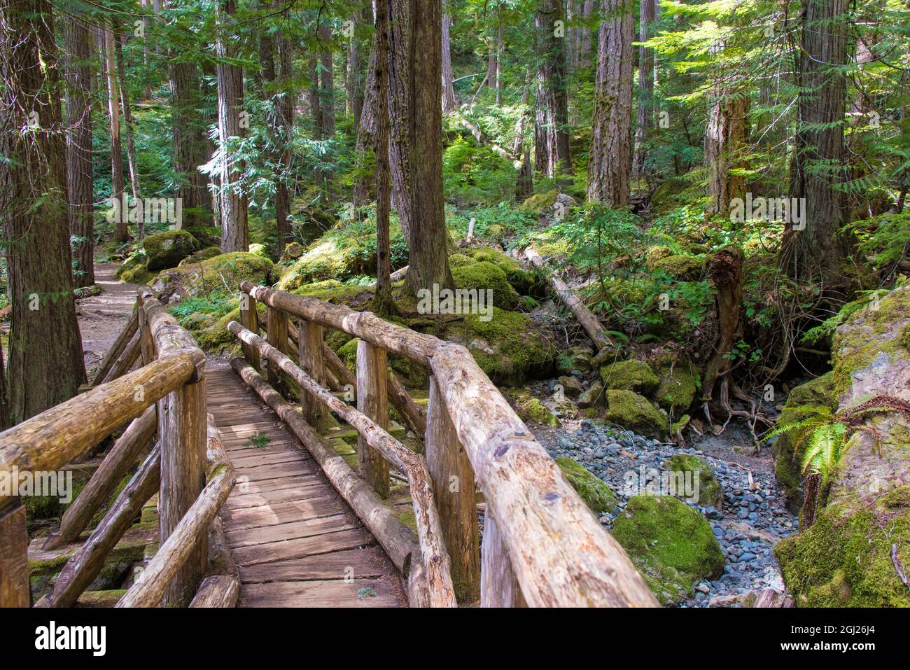 USA, Washington State, Olympic Mountains. Bridge over Lena Creek. Lena ...