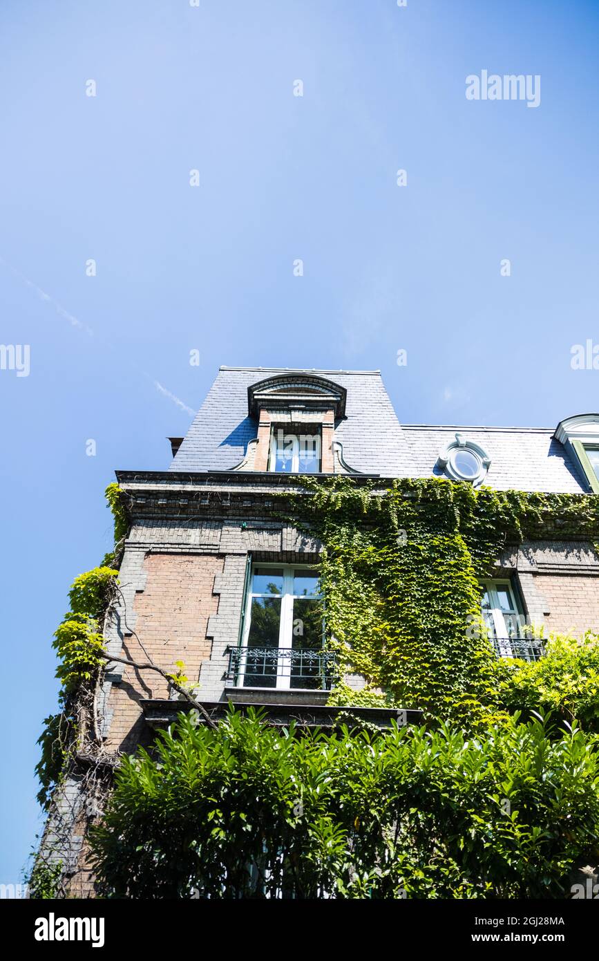 Vertical low-angle shot of the building covered with green foliage ...