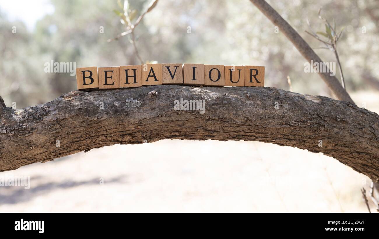 Times new roman font hi-res stock photography and images - Alamy