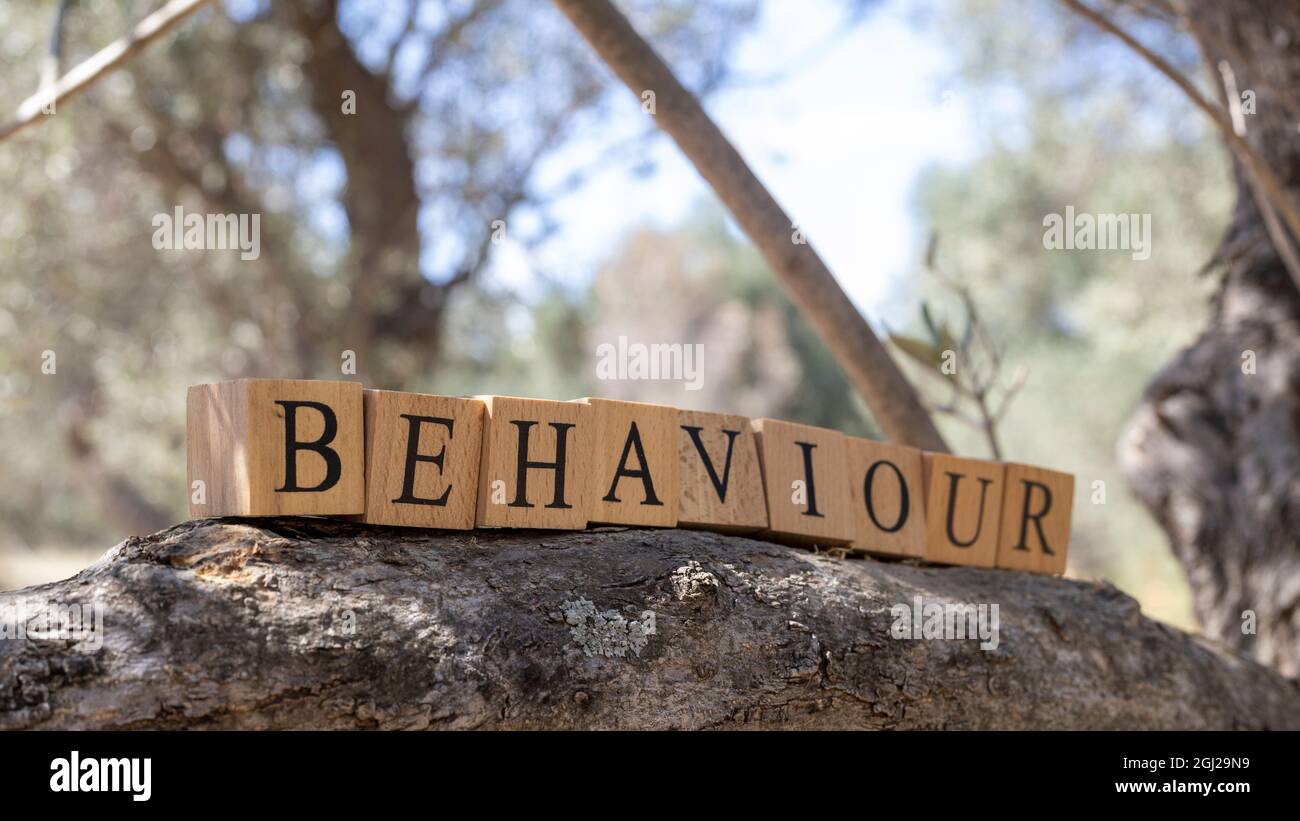 Times new roman font hi-res stock photography and images - Alamy