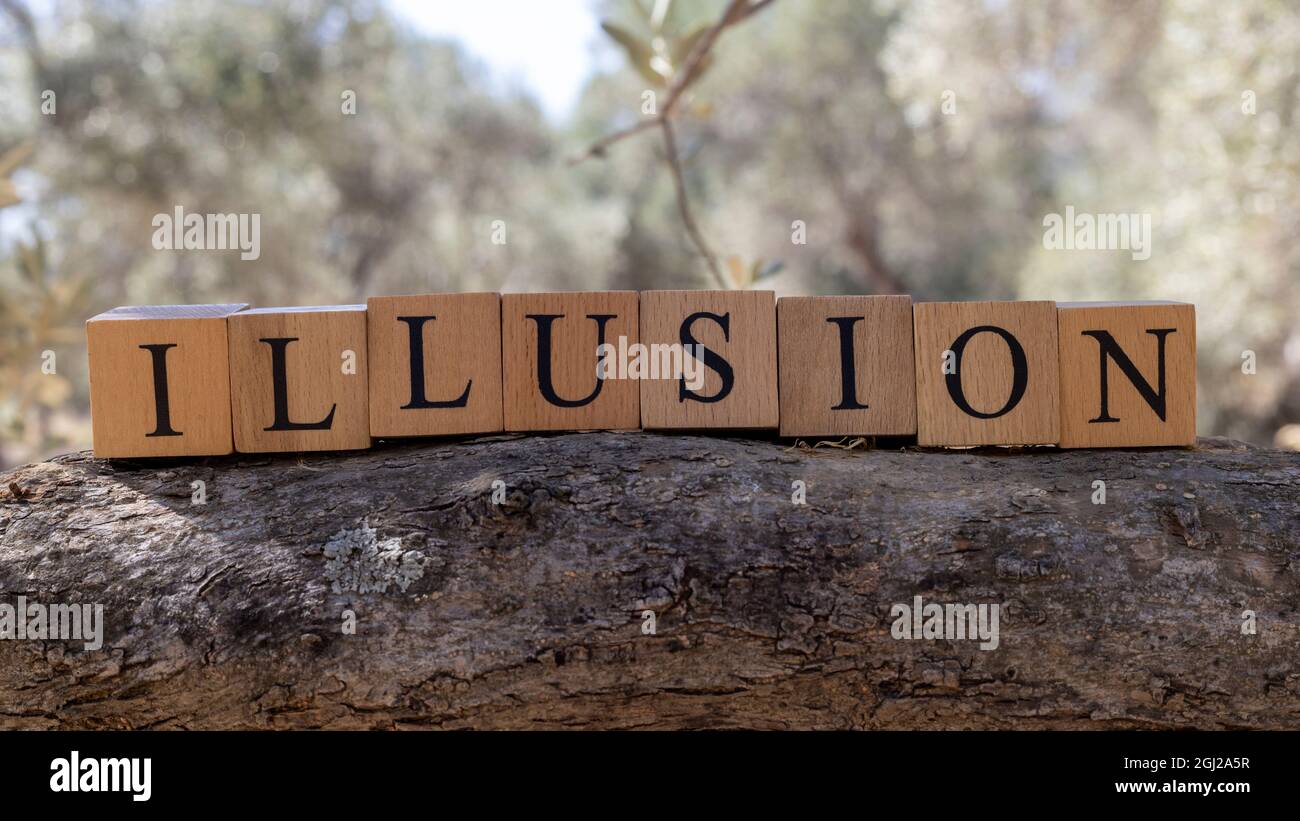 The word illusion was created from wooden blocks. Sociology and life ...