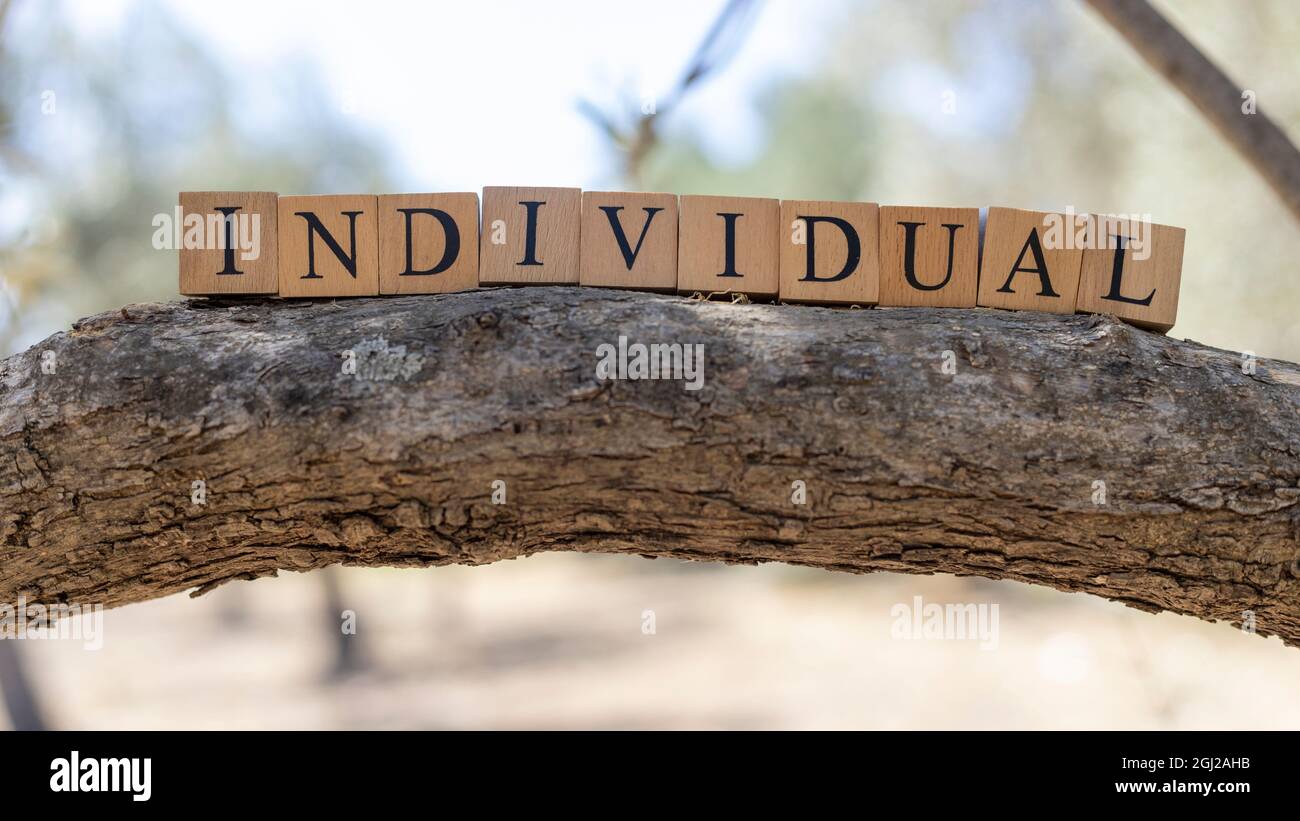 The word individual was created from wooden blocks. Sociology and life ...