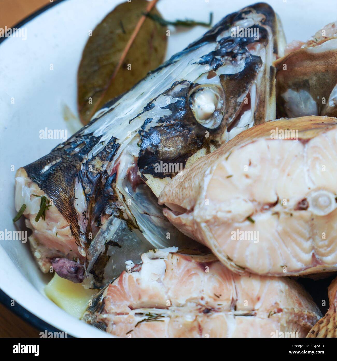 Pieces of boiled fish pike in a plate that look natural. Head of boiled ...