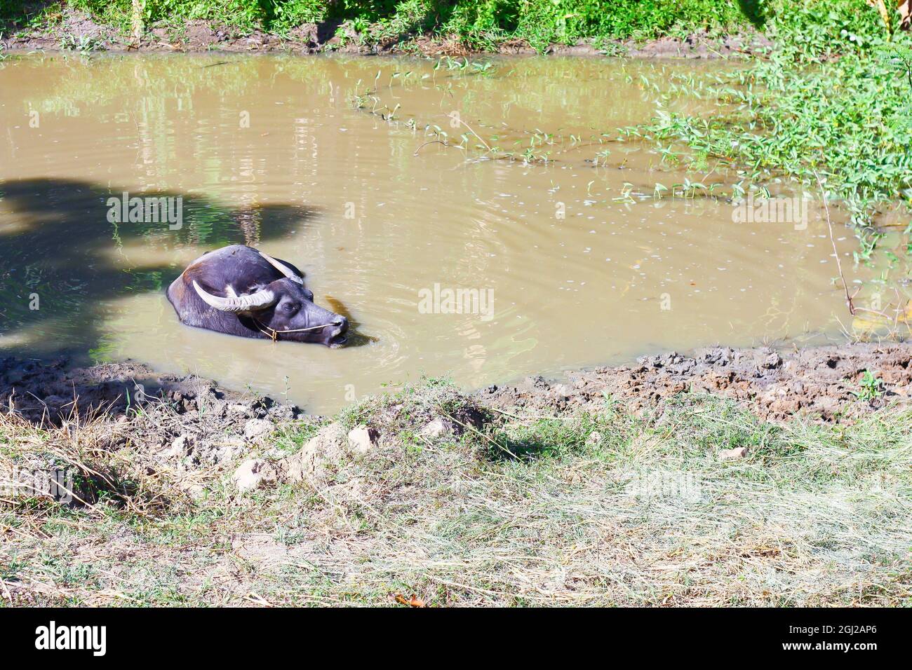 Soak in hot water hi-res stock photography and images - Alamy