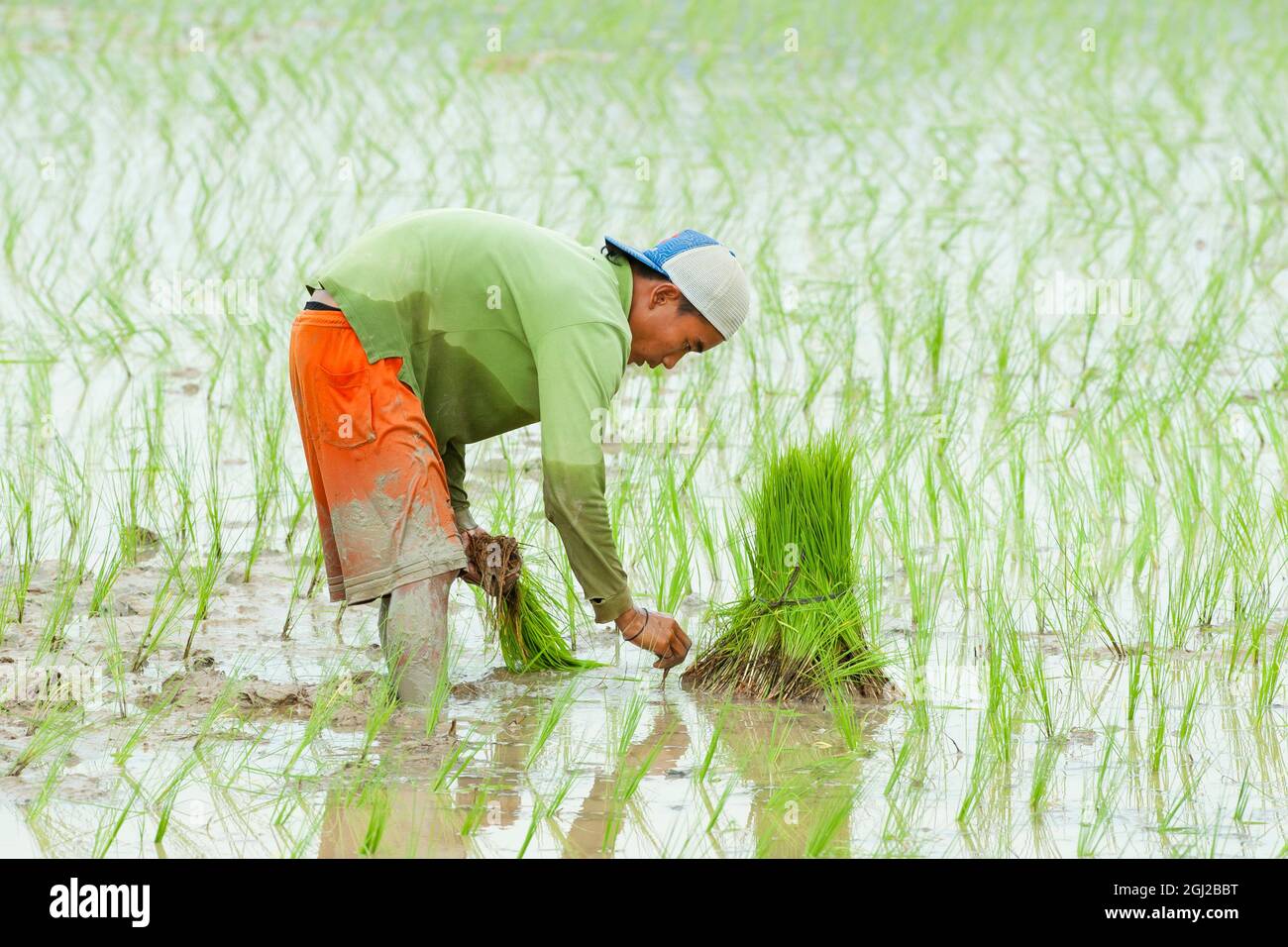 Asia Overpopulation High Resolution Stock Photography and Images - Alamy