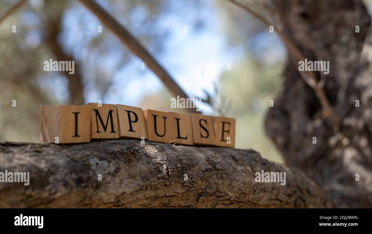 The word impulse was created from wooden cubes Stock Photo - Alamy