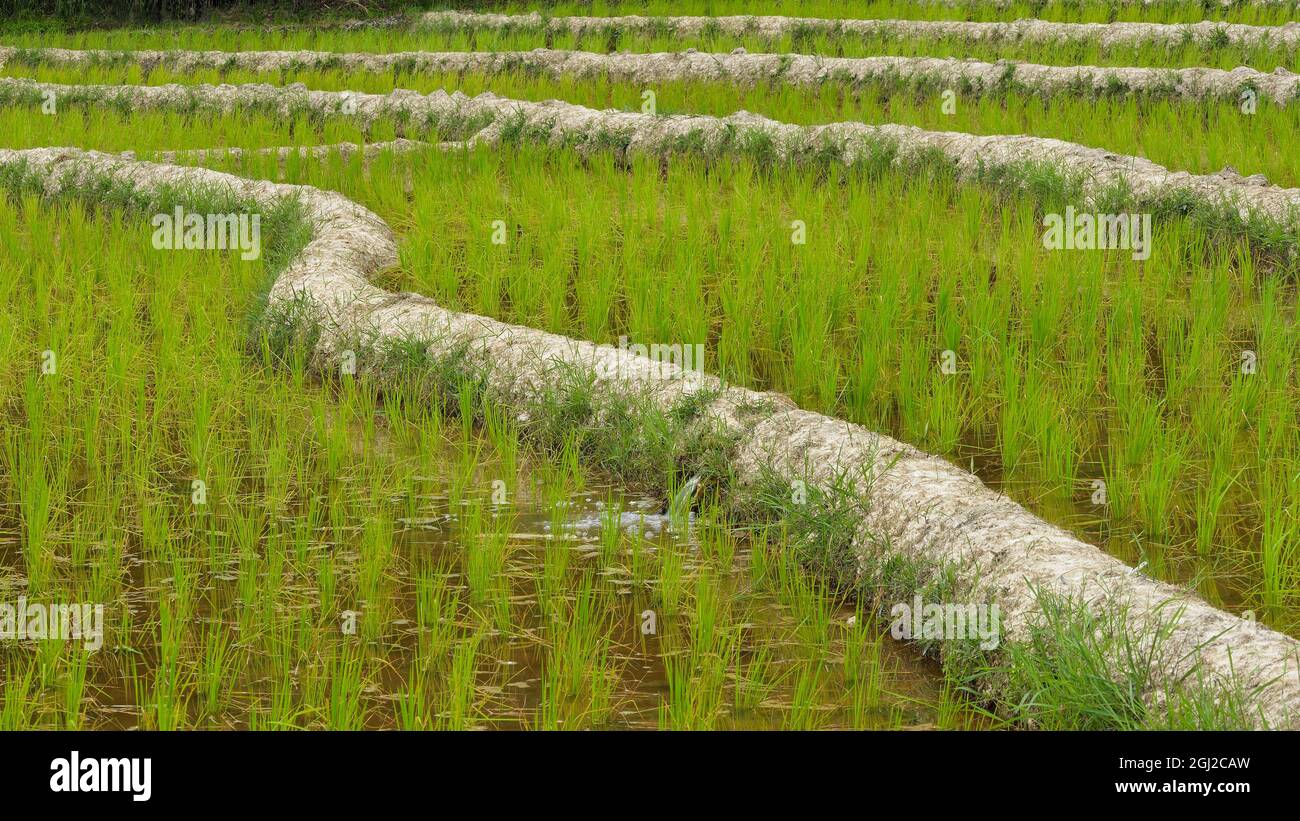 Maual Work High Resolution Stock Photography and Images - Alamy
