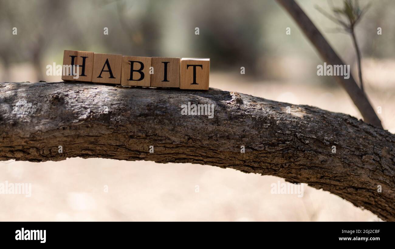 The word Habit was created from wooden cubes. Taken outside on a tree ...