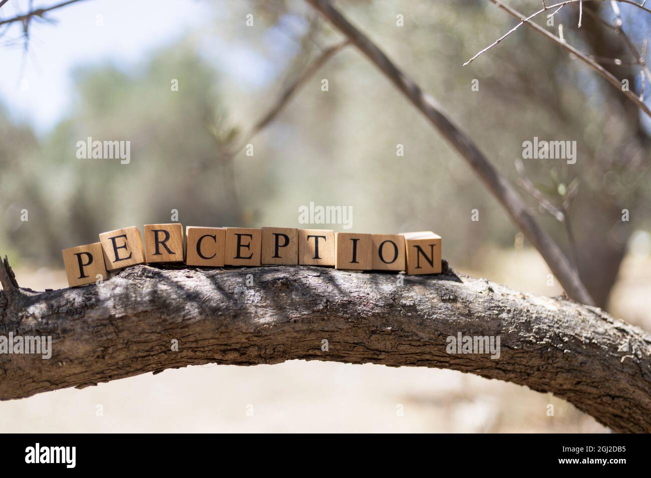 The word perception was created from wooden cubes. Taken outside on a ...