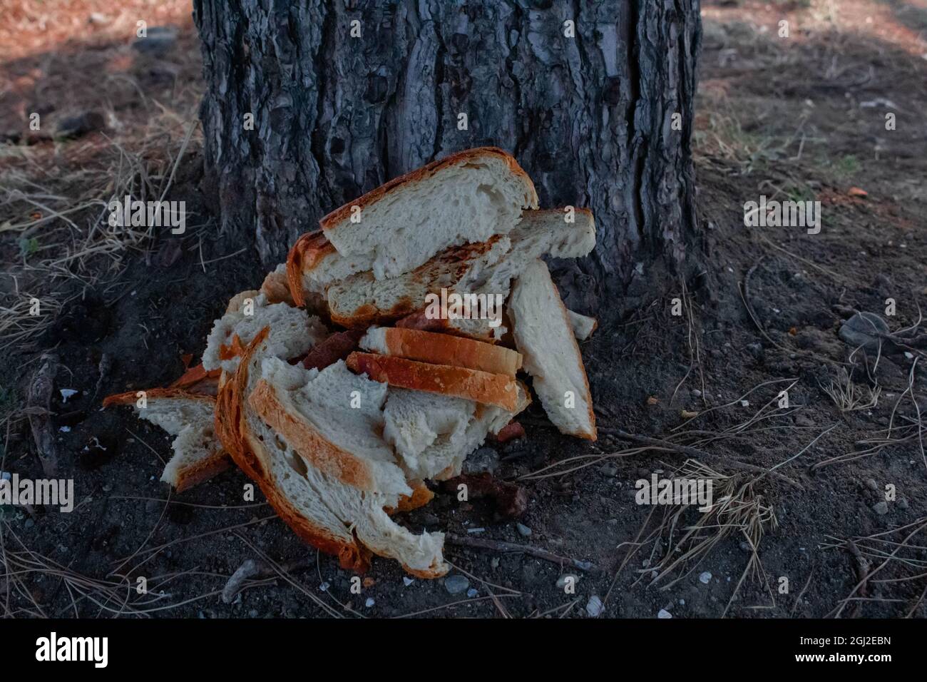 Food waste bakery hi-res stock photography and images - Alamy