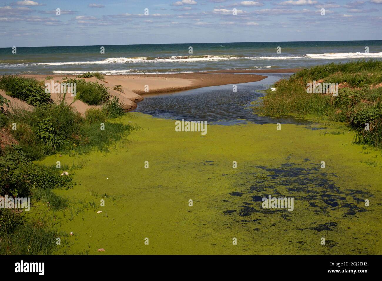 Eutrophication hi-res stock photography and images - Alamy