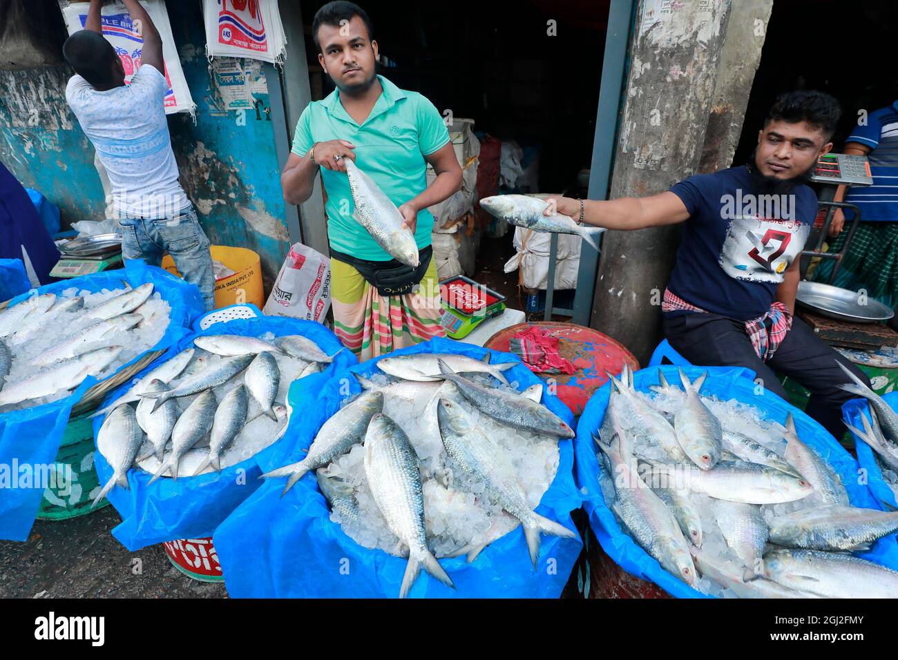 Bangladesh hilsa hi-res stock photography and images - Alamy