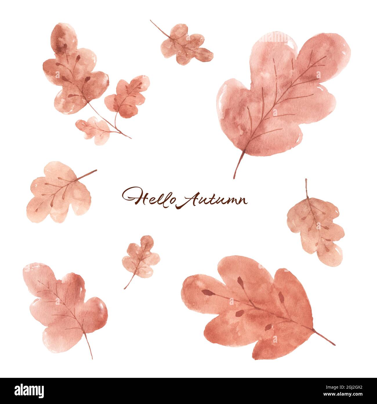 Set of fall leaves watercolor hand-painted isolated on white background ...