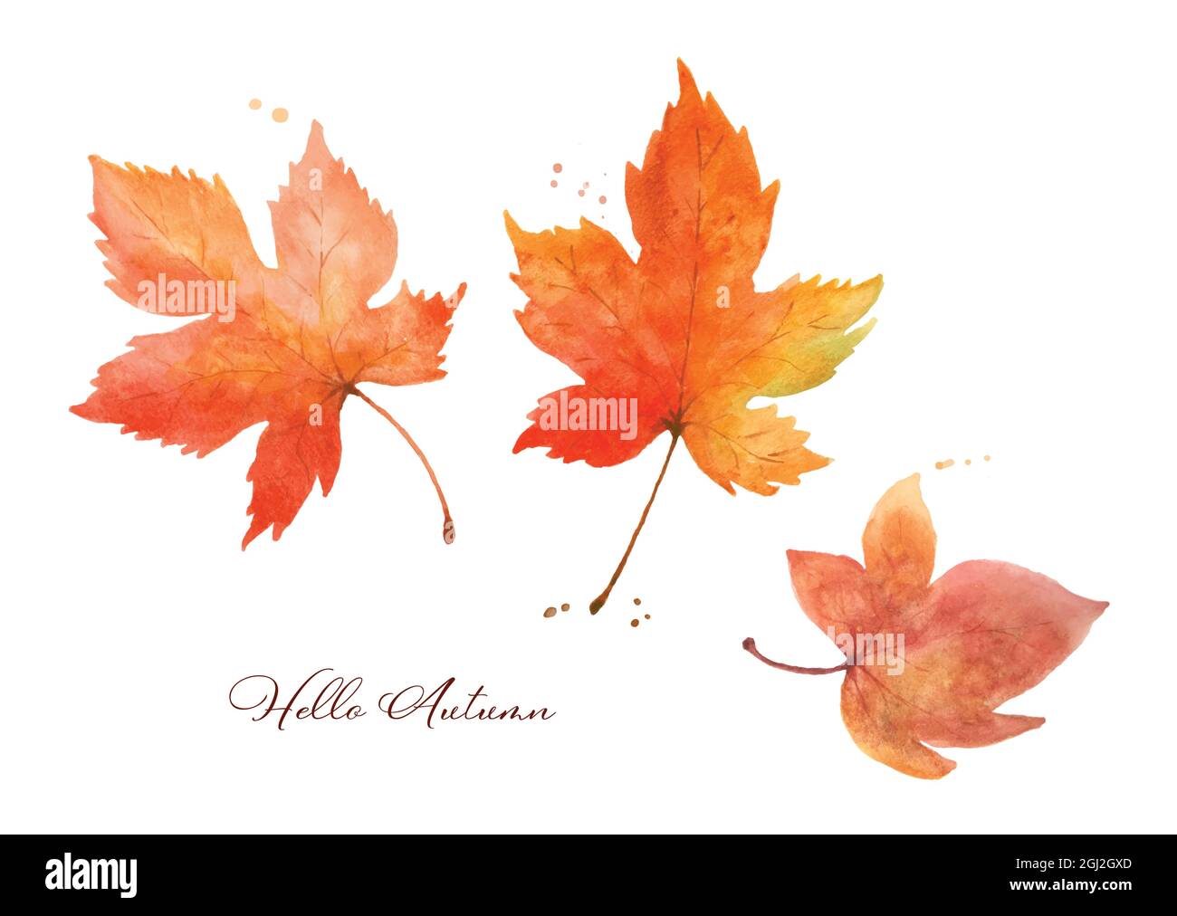 Set of maple leaves watercolor hand-painted isolated on white ...