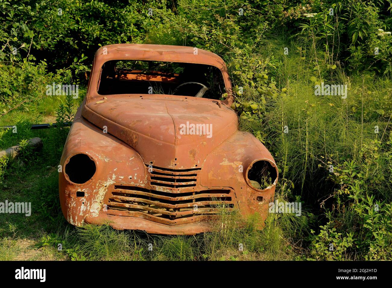 A rusty old car overgrown with greenery. Abandoned city, fleet Stock ...