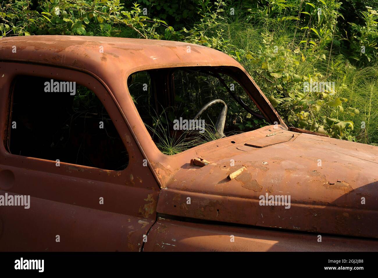 A rusty old car overgrown with greenery. Abandoned city, fleet Stock ...
