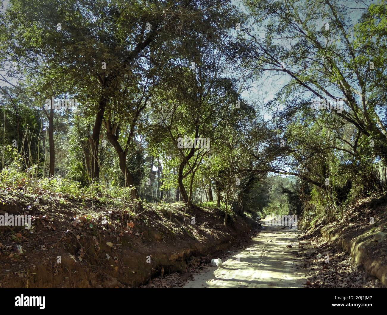 Nature in its purest form Stock Photo - Alamy