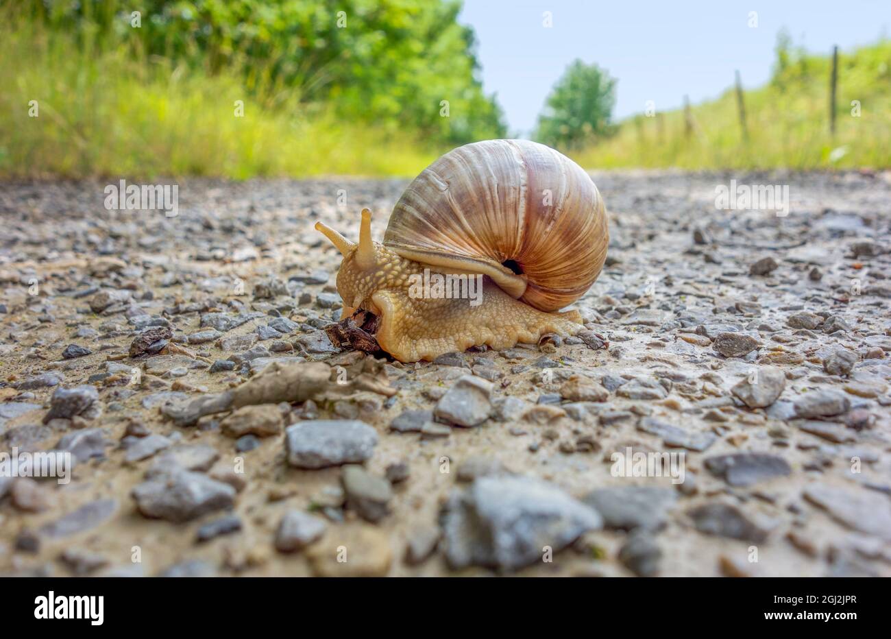 Gravel Path Low Angle High Resolution Stock Photography and Images - Alamy