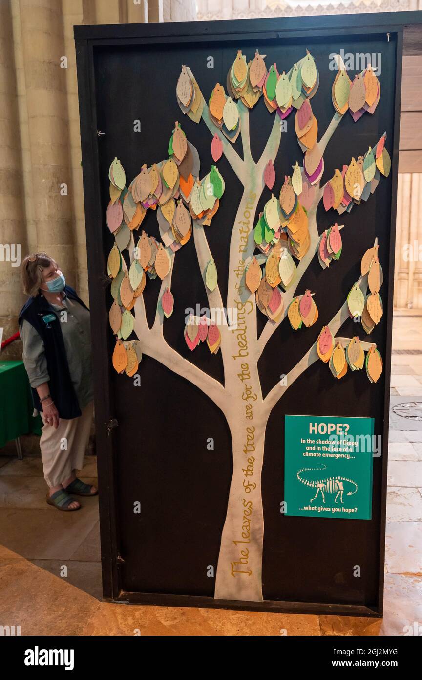 Hand Tree With Paper Leaves