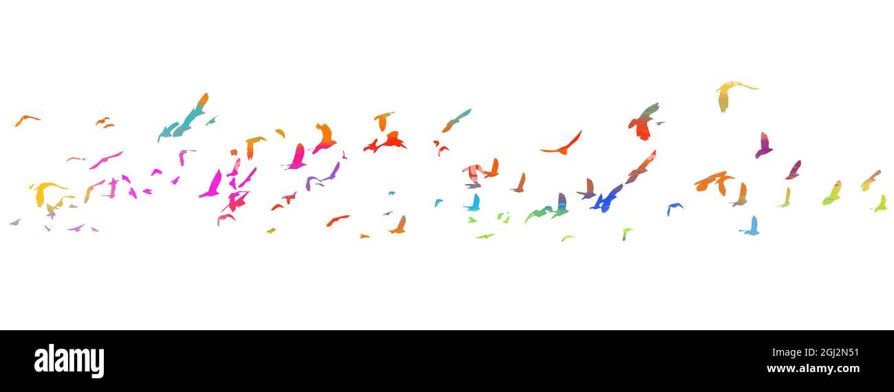 A flock of colorful birds. Vector illustration Stock Vector Image & Art ...