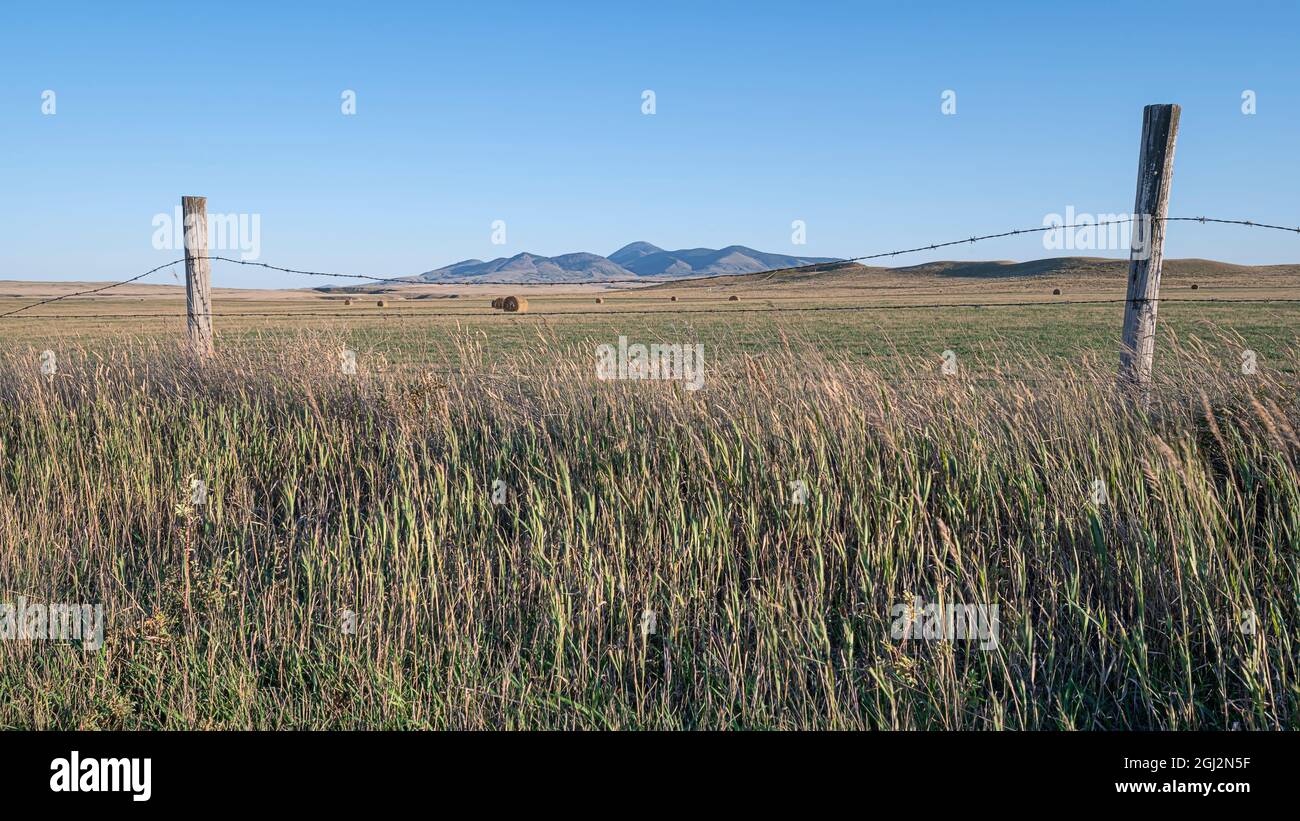 Round bales in a field with the Sweet Grass Hills (aka Sweetgrass Hills ...
