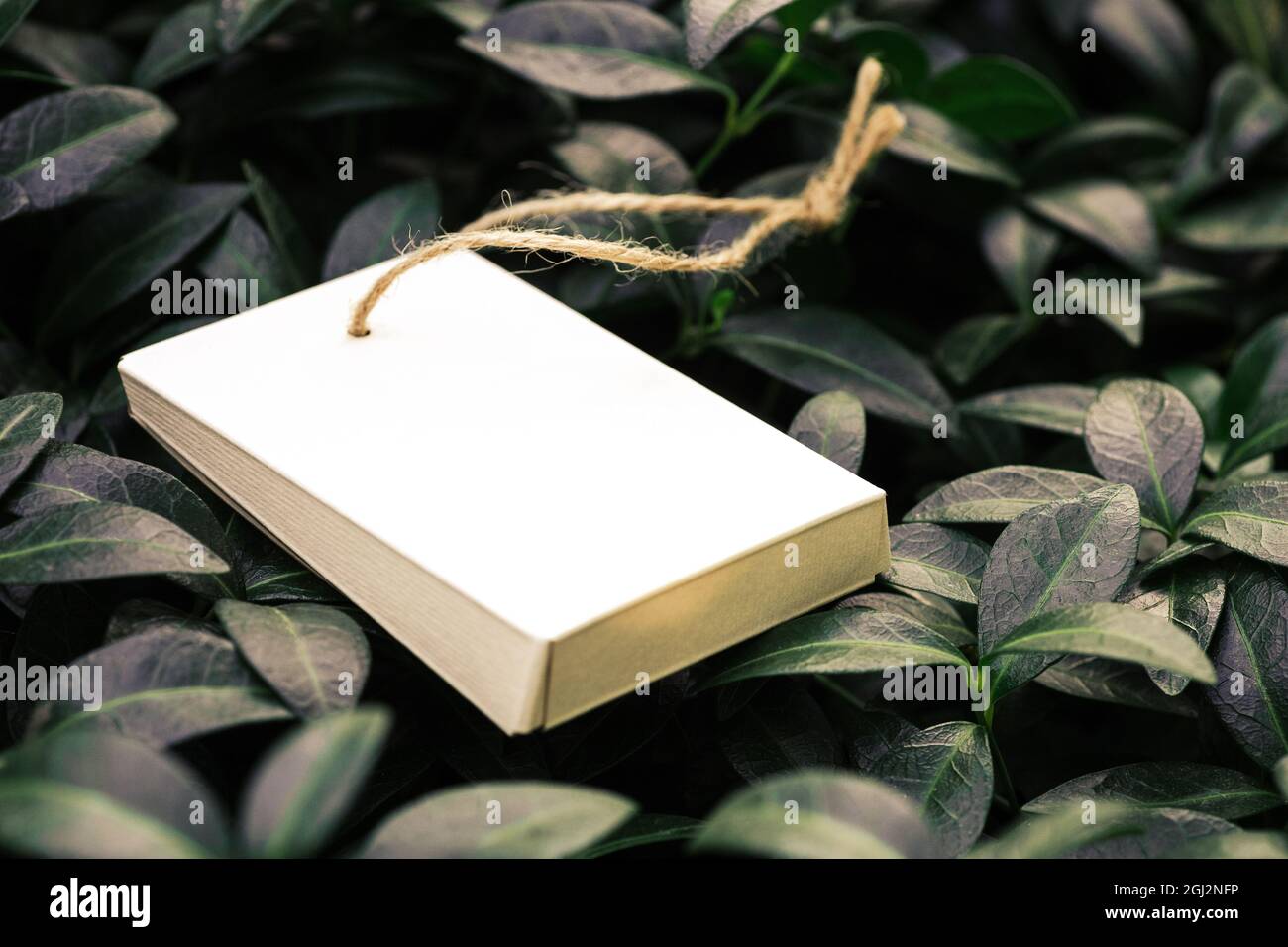 side view of cardboard folded box with jute rope for accessories on ...