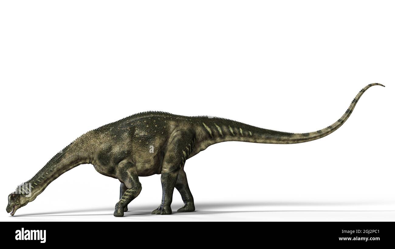 Antarctosaurus giganteus 3D illustration Stock Photo - Alamy