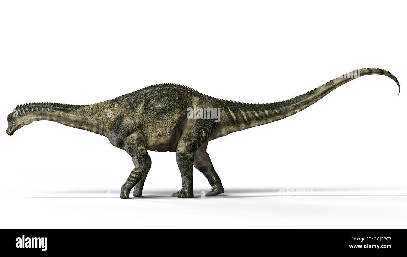 Antarctosaurus giganteus hi-res stock photography and images - Alamy