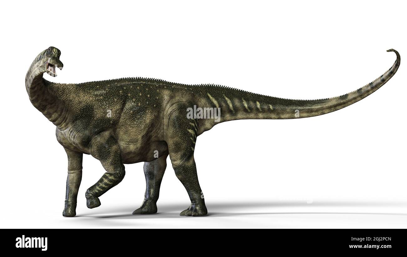 Antarctosaurus giganteus 3D illustration Stock Photo - Alamy