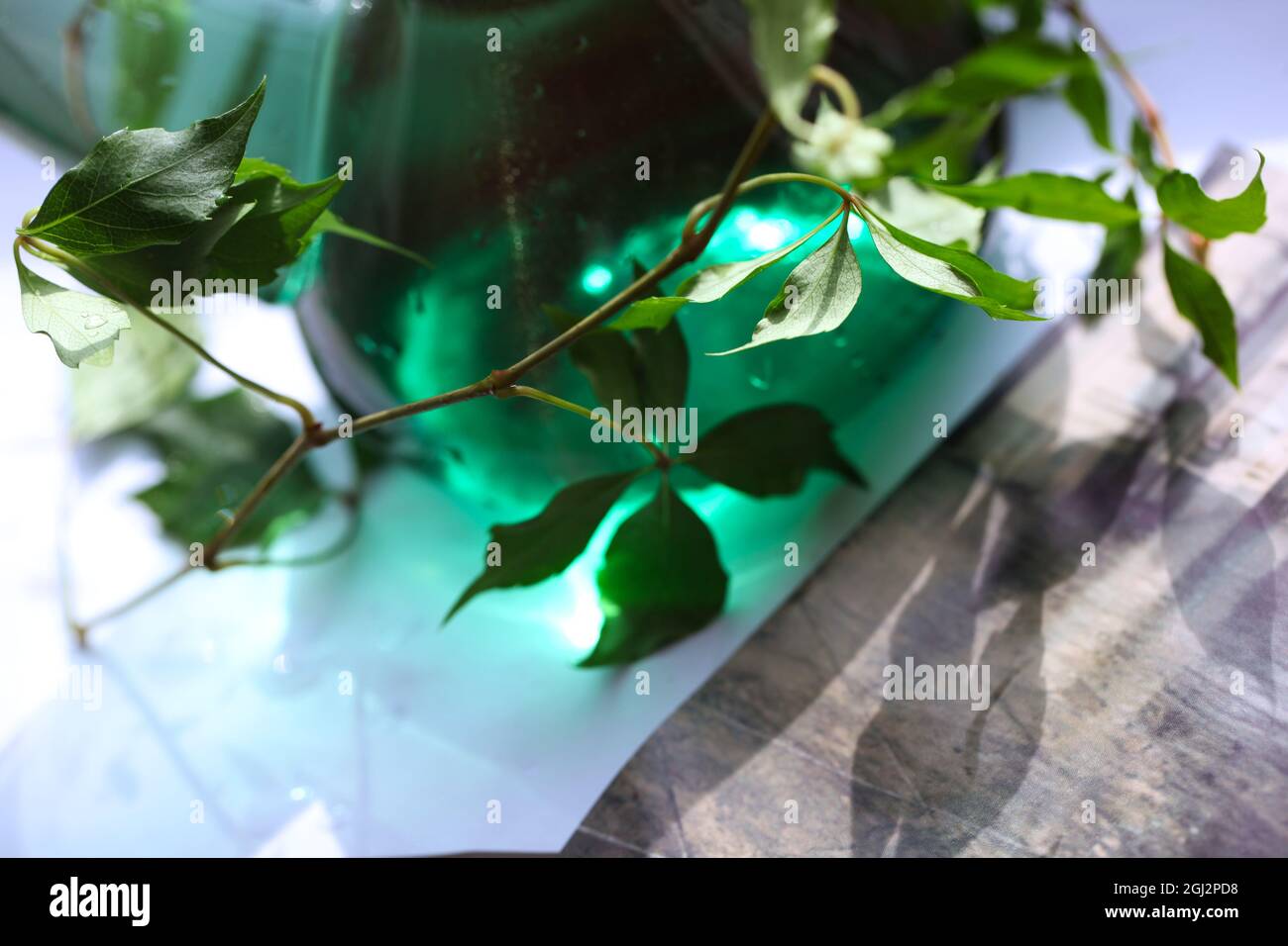 Still Life - Light and Shadow in Green Stock Photo - Alamy