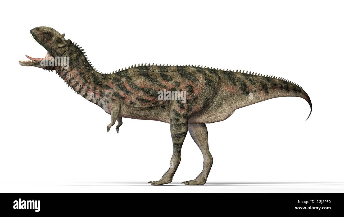 Majungasaurus crenatissimus 3D illustrain Stock Photo - Alamy
