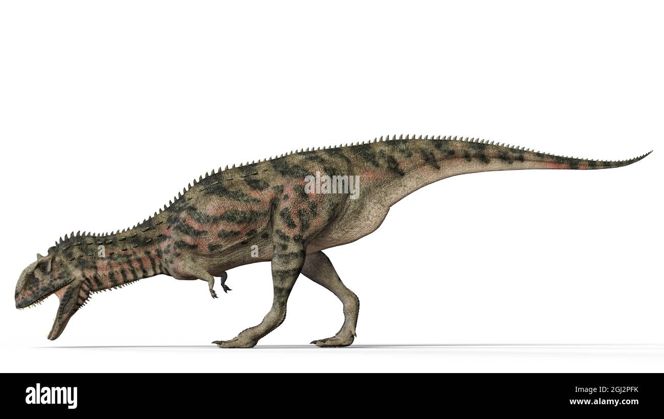 Majungasaurus crenatissimus 3D illustrain Stock Photo - Alamy