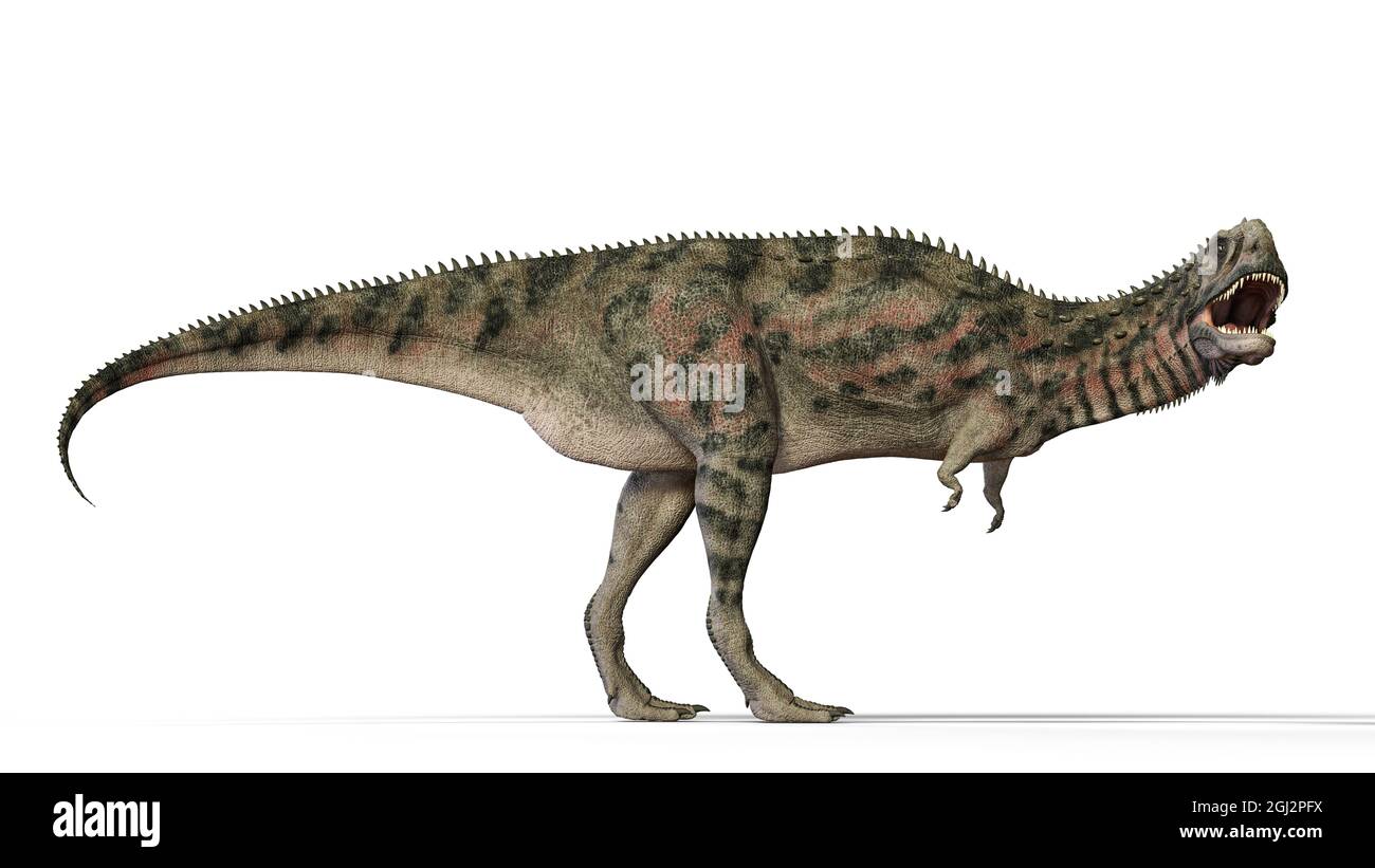 Majungasaurus crenatissimus 3D illustrain Stock Photo - Alamy