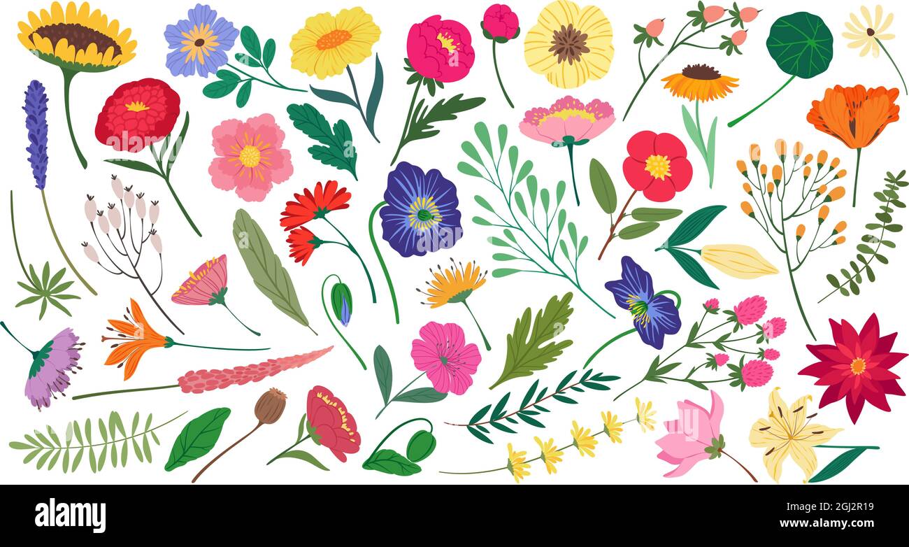 Cute spring flowers and leaves, botanical floral elements. Flat cartoon ...