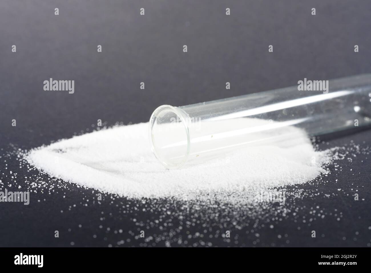 Flour with macro lens photographed against colorful gradient in studio ...