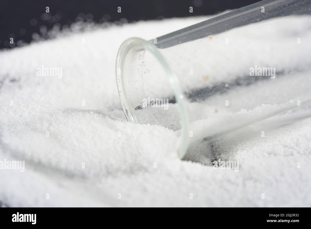 Flour with macro lens photographed against colorful gradient in studio ...