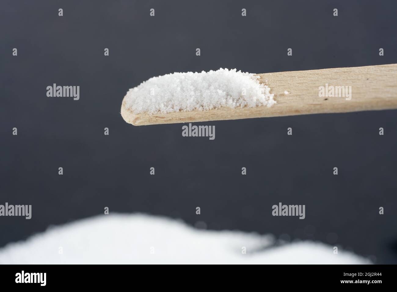 Flour with macro lens photographed against colorful gradient in studio ...