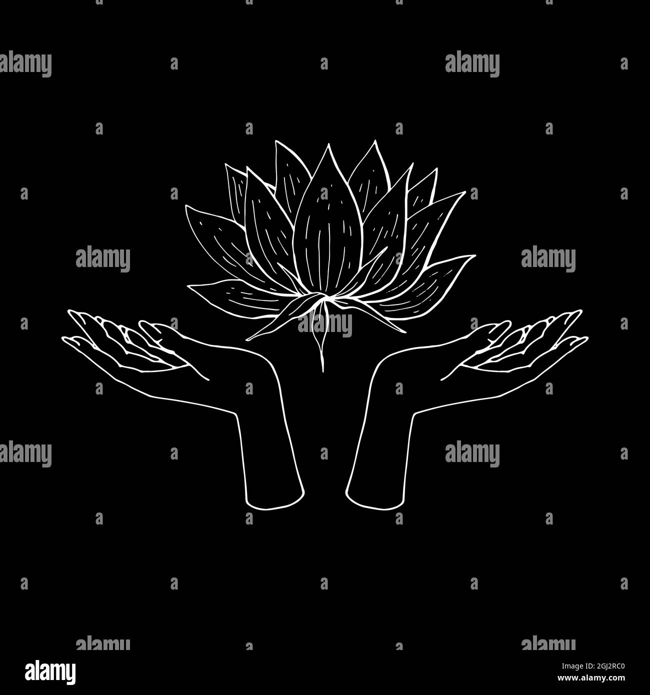 Vintage boho illustration of female Hand holding lotus Stock Vector ...