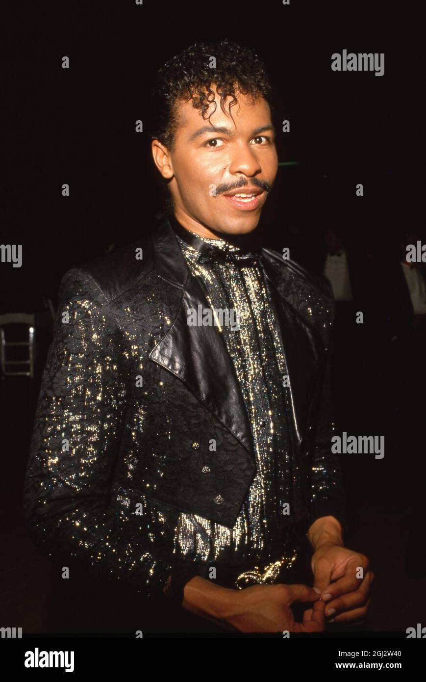 Ray Parker Jr. at the 13th Annual American Music Awards on January 27 ...